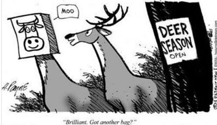 deer cartoon – Bartel's History of Princeton